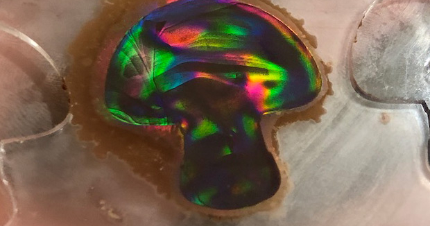 Американец сделал радужный дифракционный шоколад