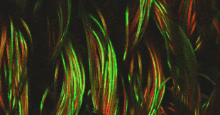 Умную ткань научили адаптироваться к повышению температуры тела