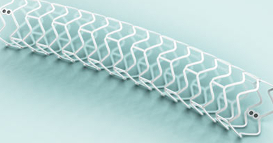 В США разрешили использовать первый растворимый стент