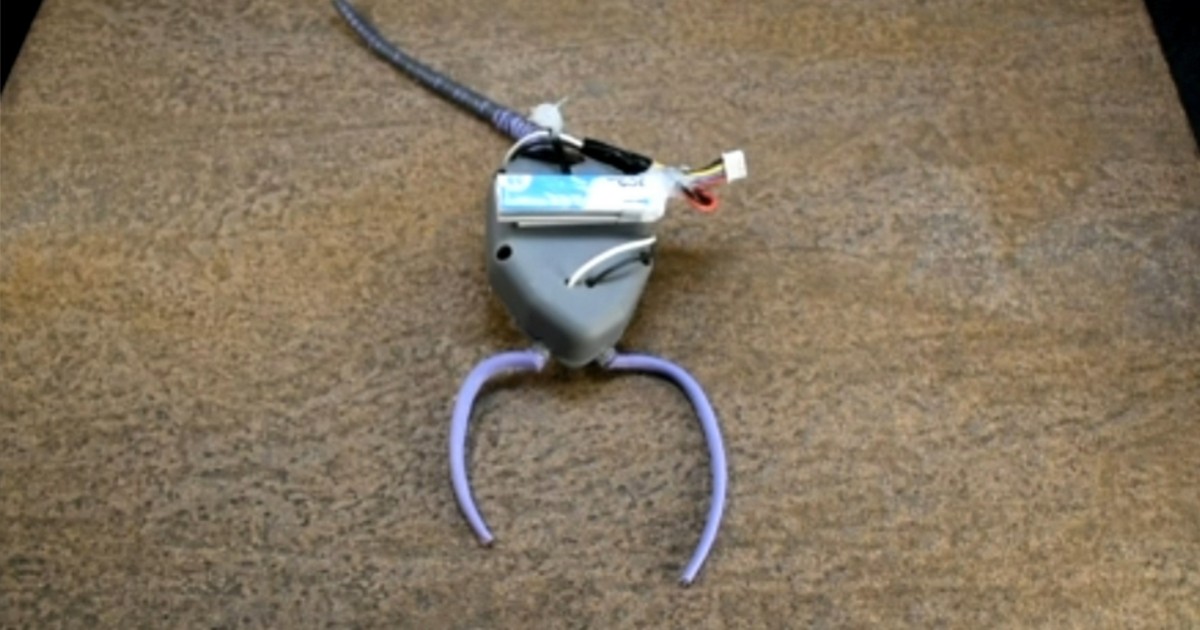 Мягкий робот воспроизвел локомоцию жившего 450 миллионов лет назад ...