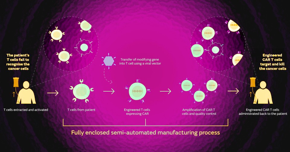 CAR-T-терапия с промежуточной аффинностью помогла при B-клеточном ...